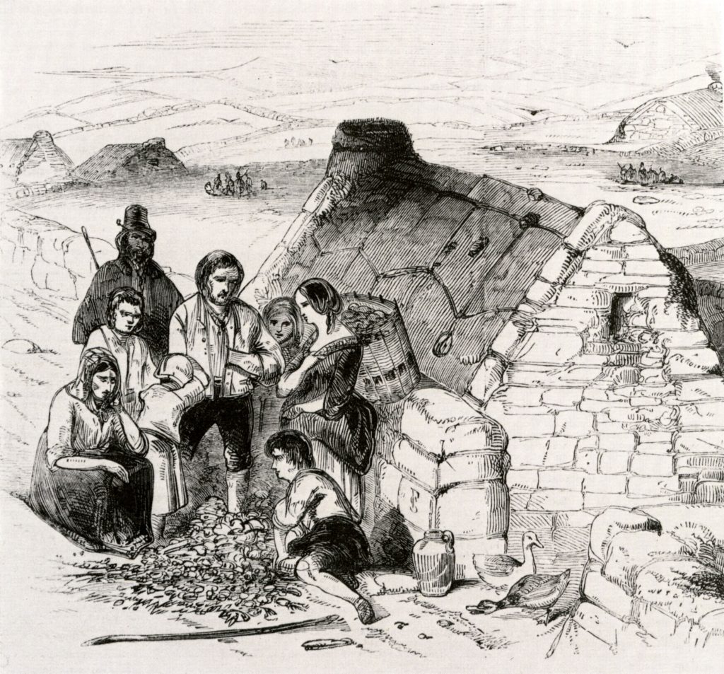 Spanish - Dunbrody Famine Ship and Irish Emigrant Experience